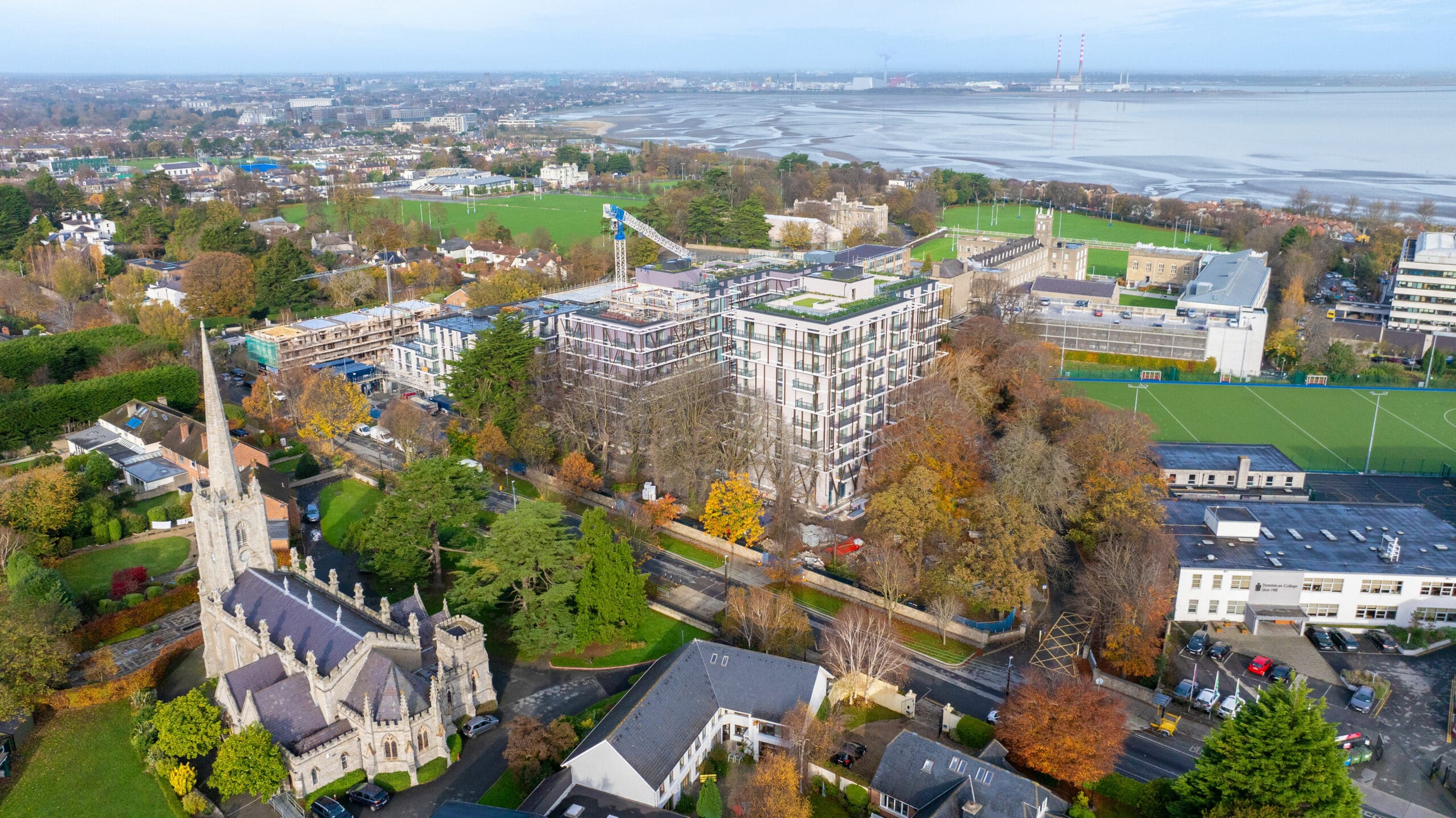 Domu in 2025! - domu